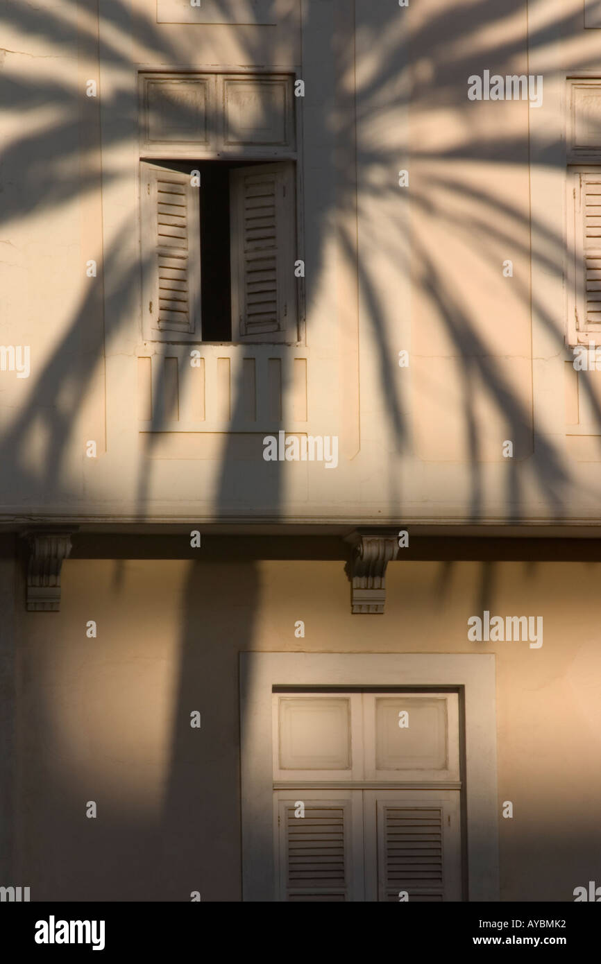 Palm tree shadow on wall Stock Photo - Alamy