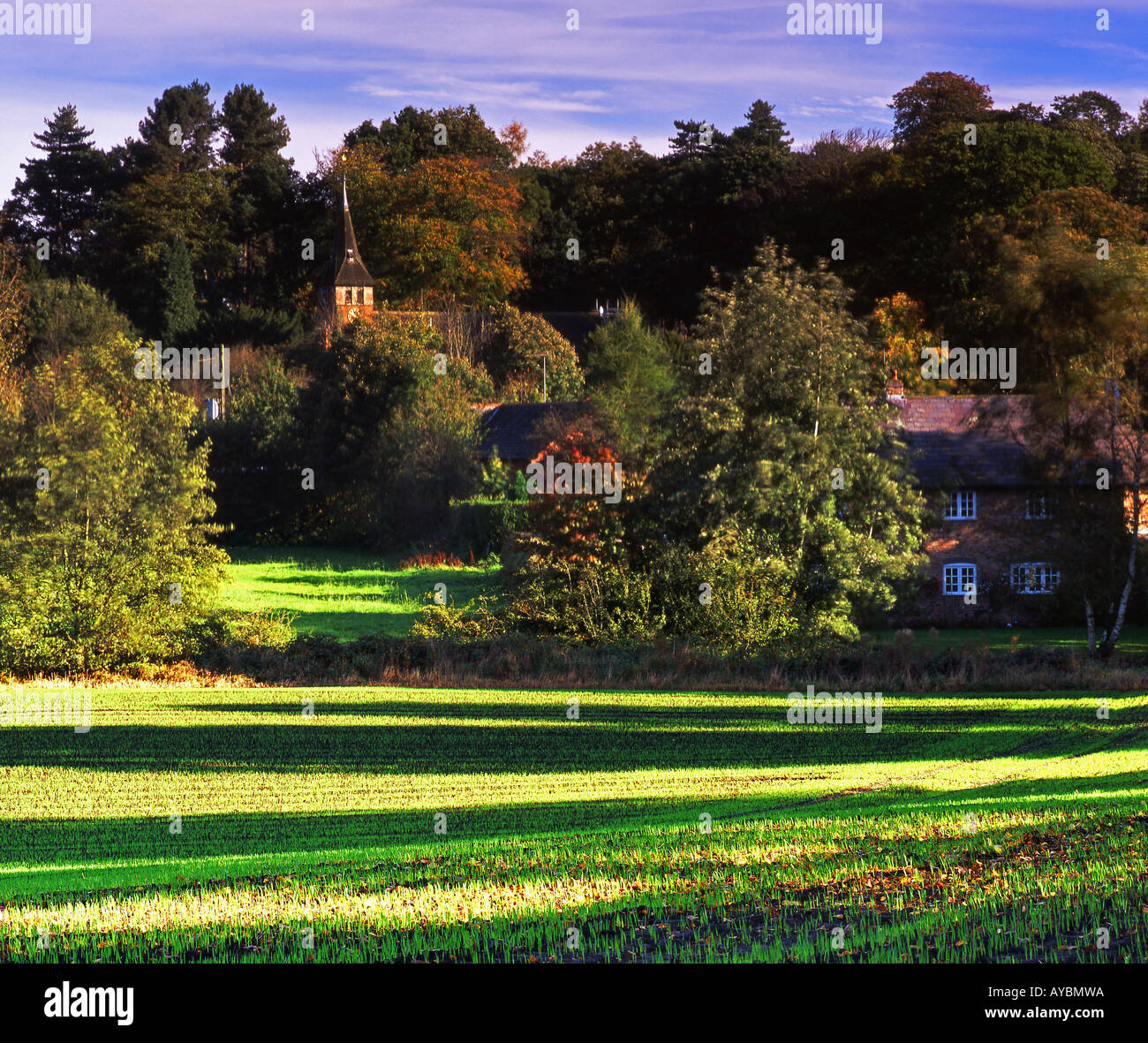 The Church of Saint Mary and Village of Whitegate, Whitegate, Cheshire ...