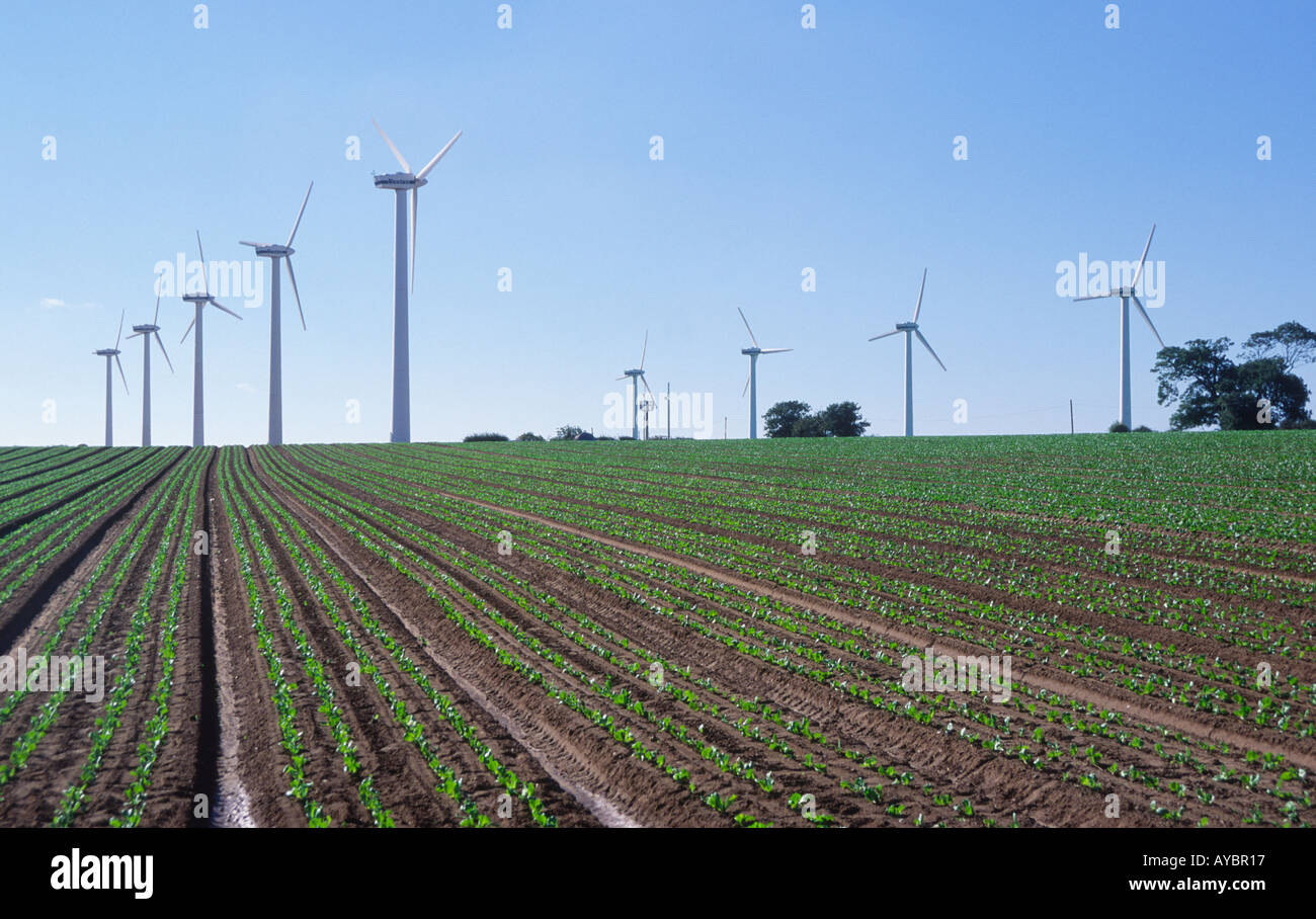 Onshore wind turbines West Somerton Norfolk England Stock Photo - Alamy