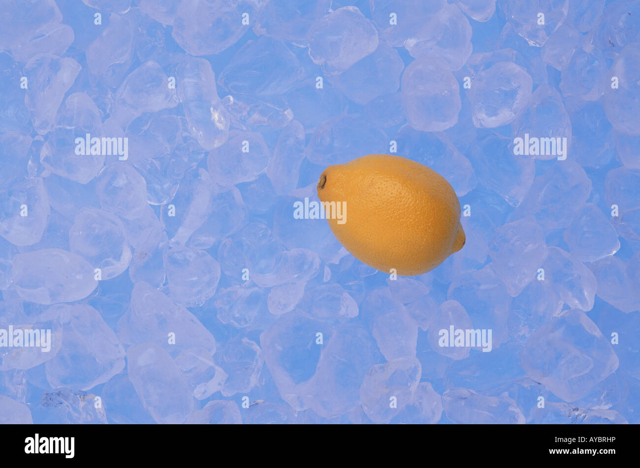 Lemon on Ice Stock Photo - Alamy