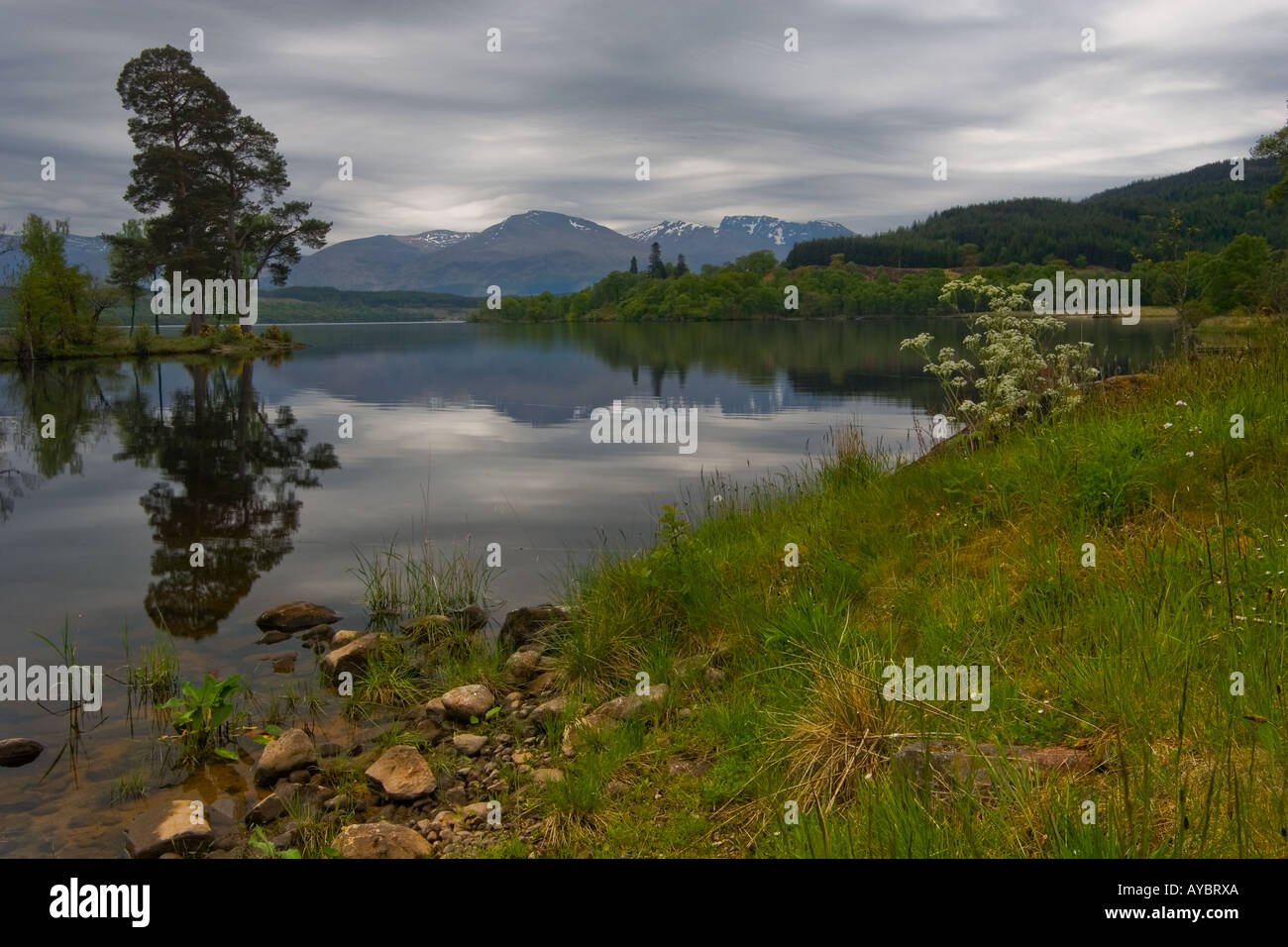 Loch Lochy and Ben Nevis,Scottish highland,Scotland Stock Photo - Alamy