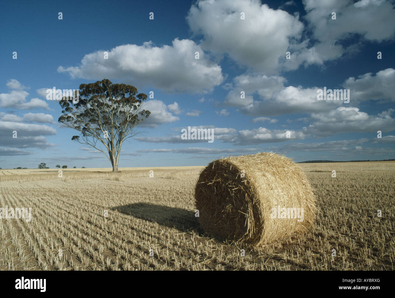 Haystack in Field Stock Photo - Alamy