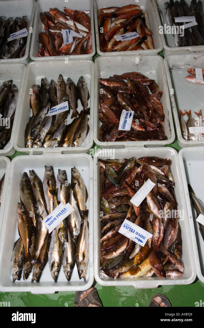 Boxes of fresh fish at auction market San Vicente de Grove Galicia ...