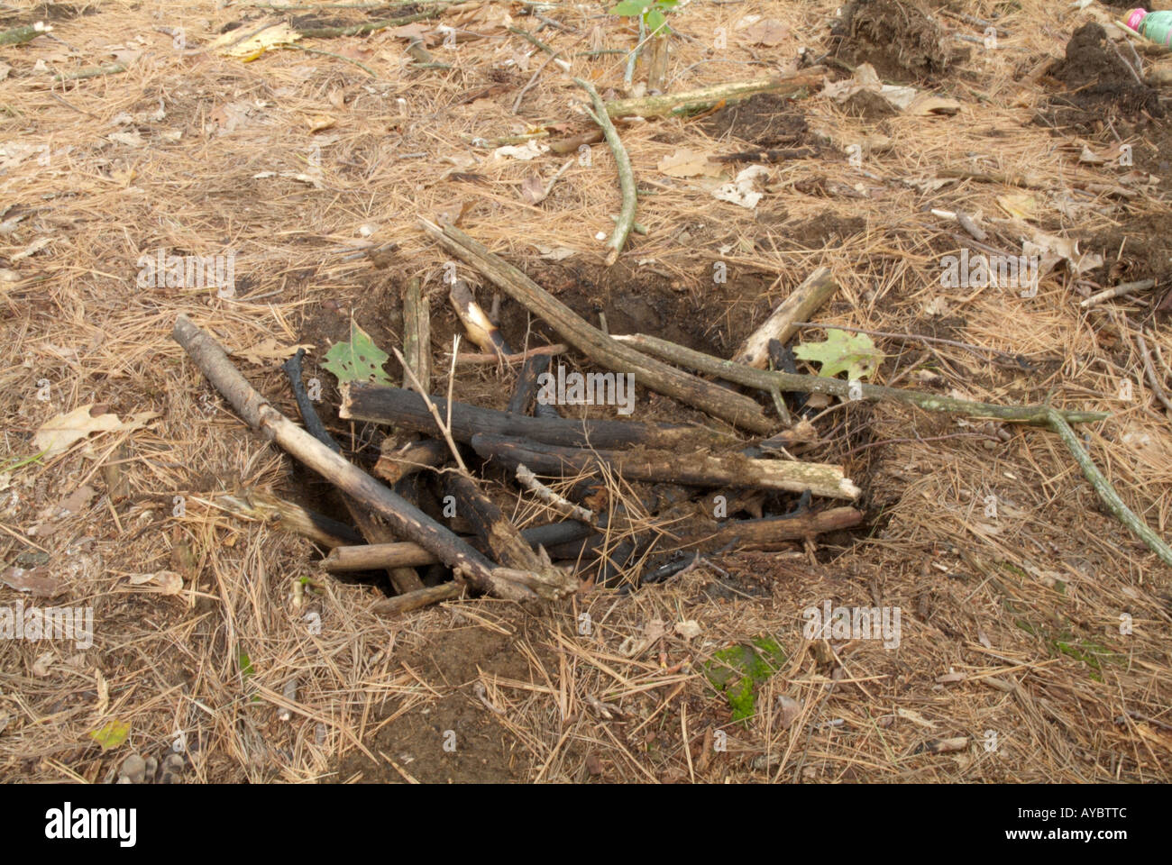 A dug fire pit on a hiking trail in New England This fire pit was made ...