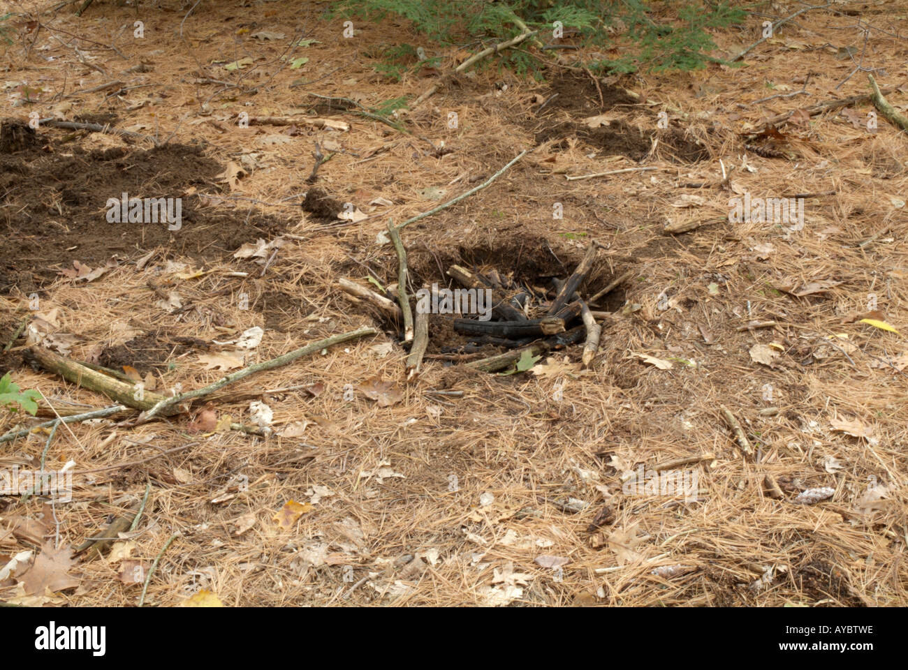 A dug fire pit on a hiking trail in New England This fire pit was made ...