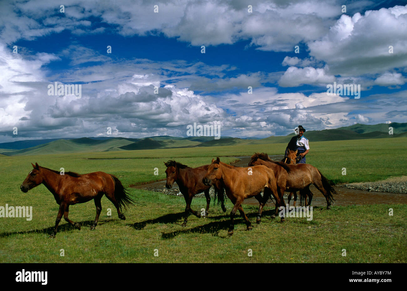 Mongolia, Steppeland. A Horse herder (Arat) on the Steppeland Stock ...