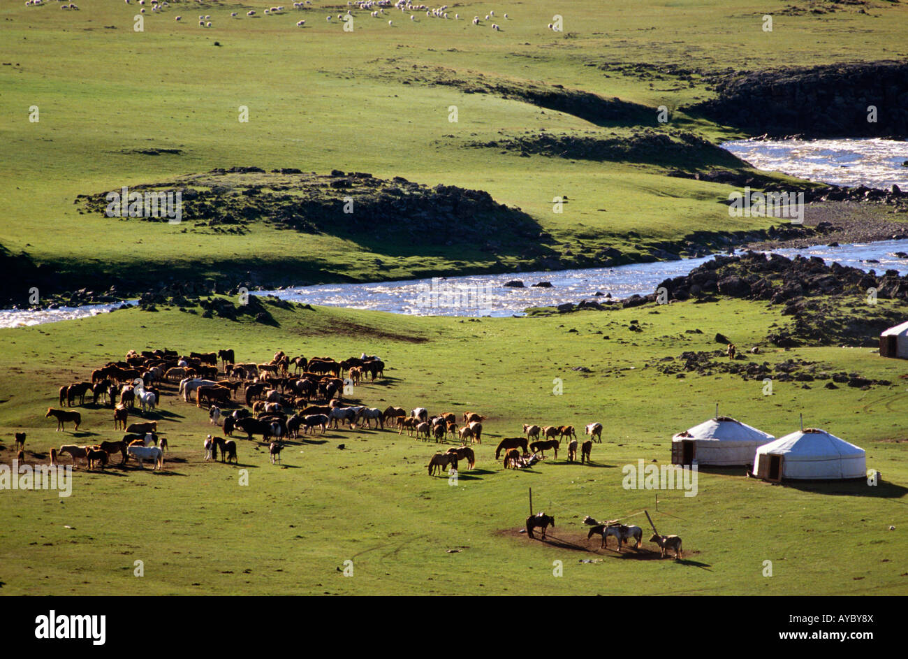 Steppeland hi-res stock photography and images - Alamy