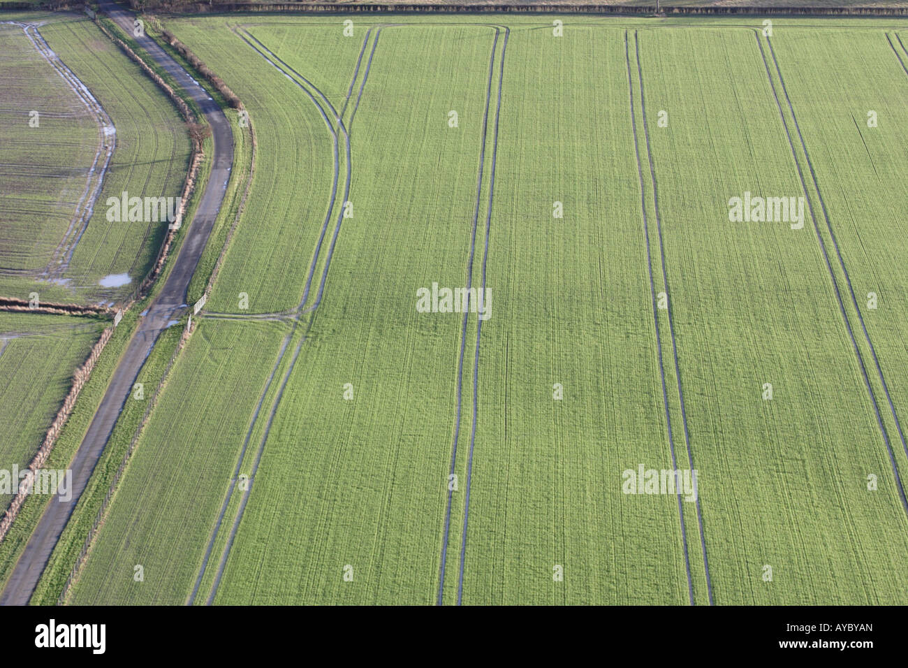 Aerial view of a country lane and tractor tracks creating patterns in a ...