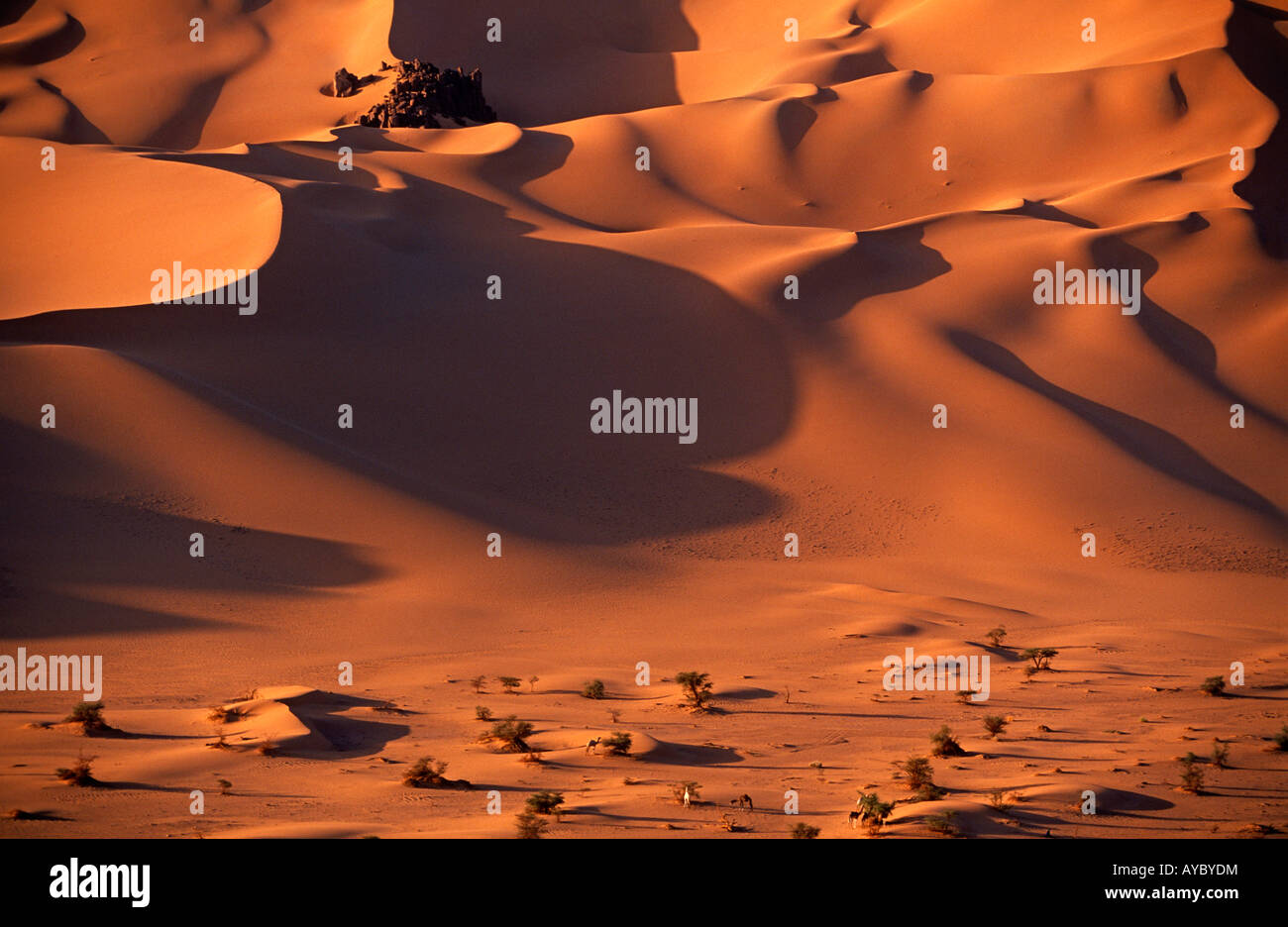 Niger, Tenere Desert. Sand dunes within the extinct Caldera of Arakao ...