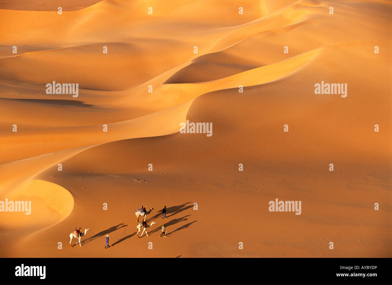 Niger, Tenere Desert. Camel Caravan travelling through the Air ...
