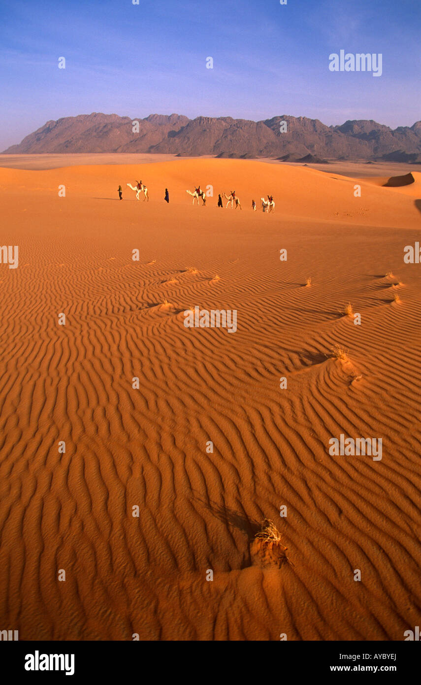 Niger, Tenere Desert. Camel Caravan travelling through the Air ...