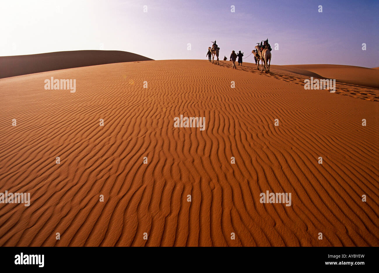 Niger, Tenere Desert. Camel Caravan travelling through the Air ...
