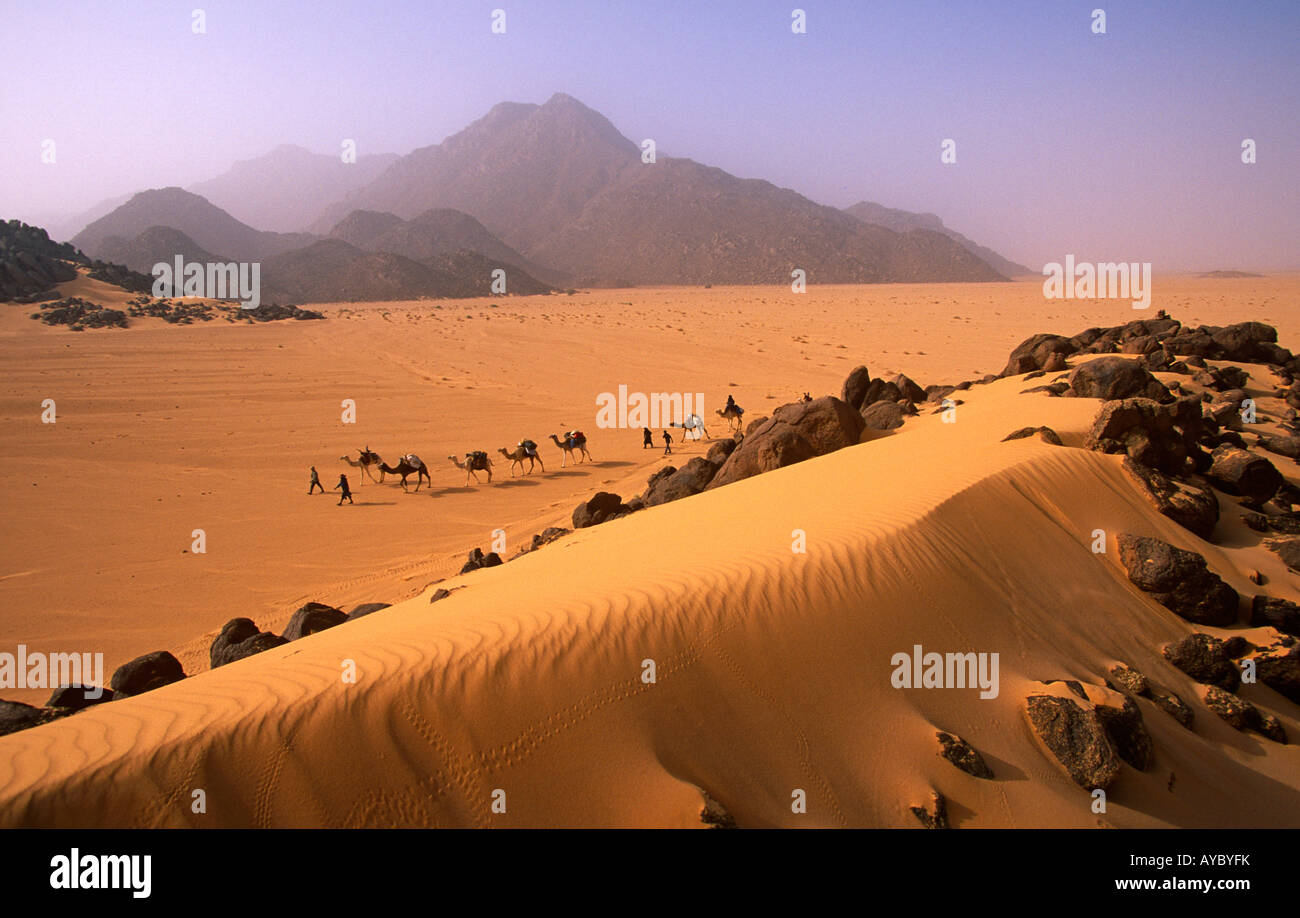 Niger, Tenere Desert. Camel Caravan travelling through the Air ...