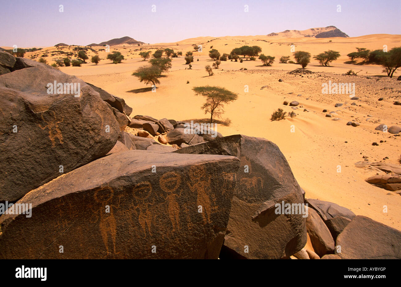 Tenere Desert Rock High Resolution Stock Photography and Images - Alamy