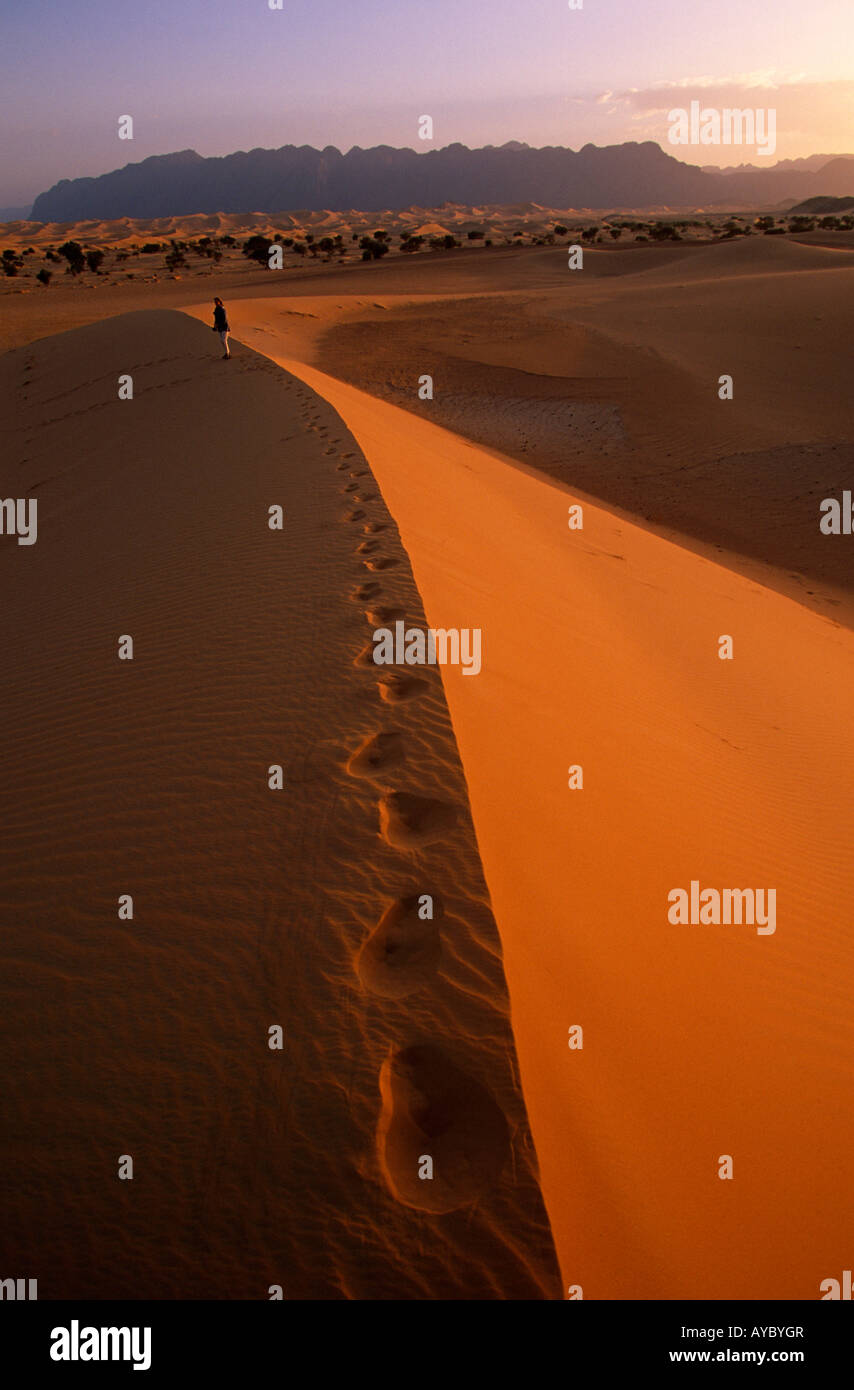 Niger, Tenere Desert. Sand Dunes on the edge of the Tenere Desert. This ...