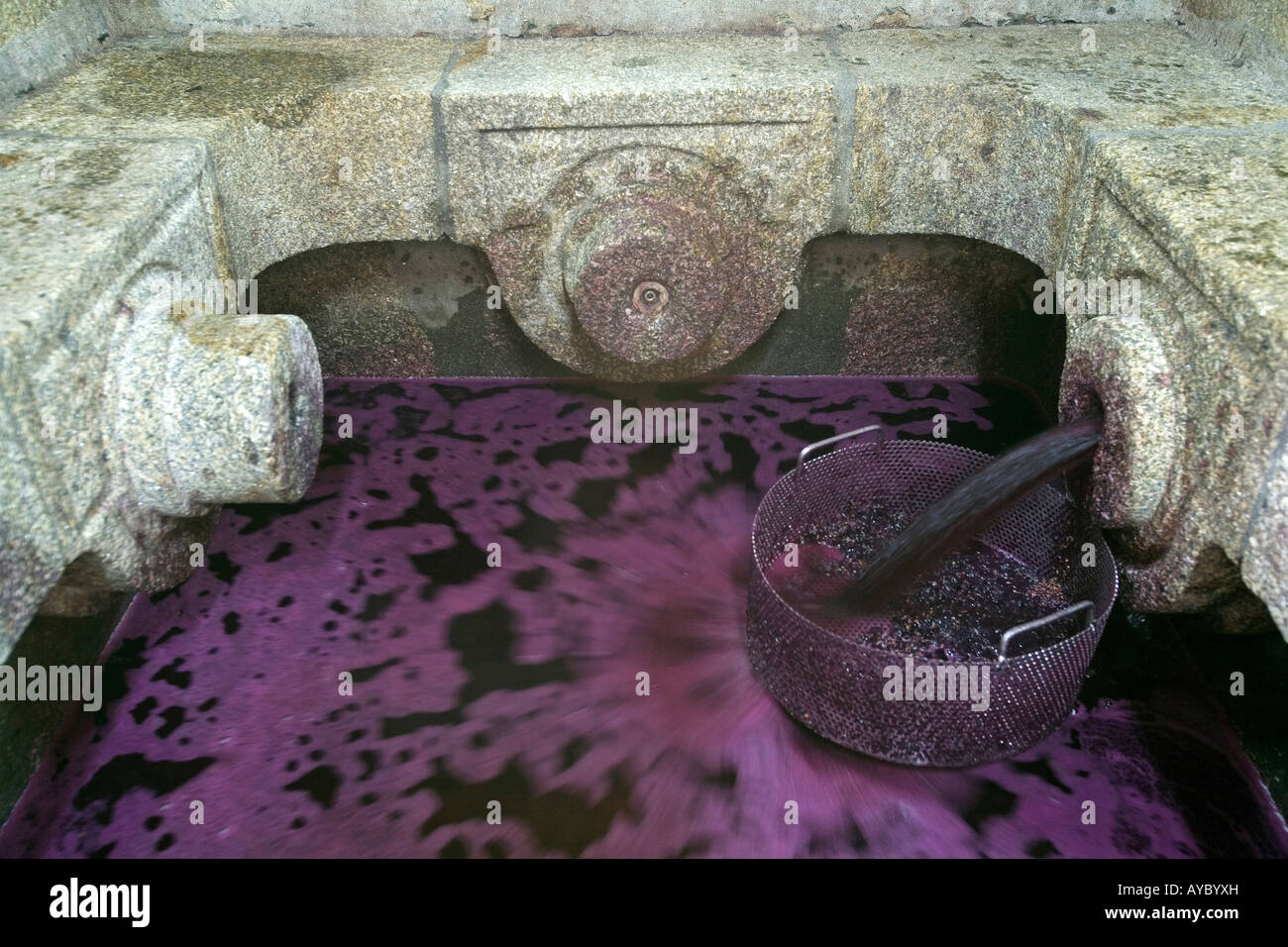 Portugal, Douro Valley, Pinhao. Grape juice during the Port wine ...