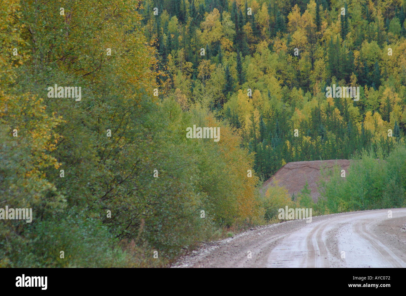 Dirt road through forest in scenic Northern Saskatchewan Canada Stock ...