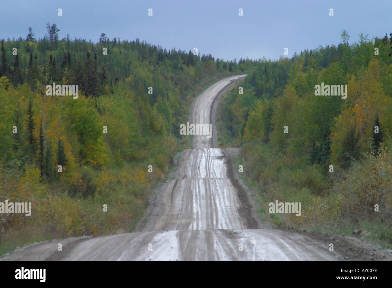 Dirt road through forest in scenic Northern Saskatchewan Canada Stock ...
