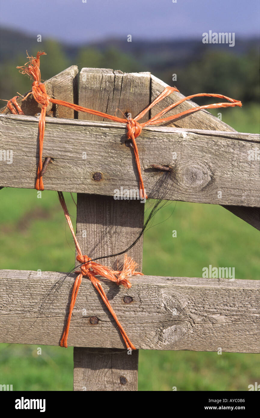 Farm gate tied hi-res stock photography and images - Alamy