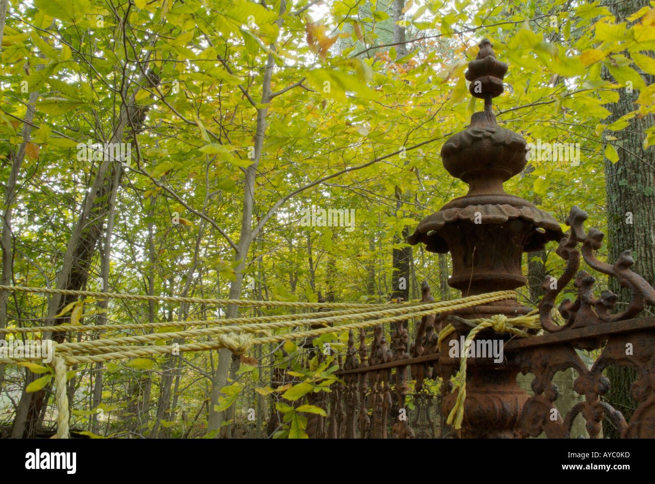Wrought Iron Fence around Chase Cemetery. Located in Pawtuckaway State ...