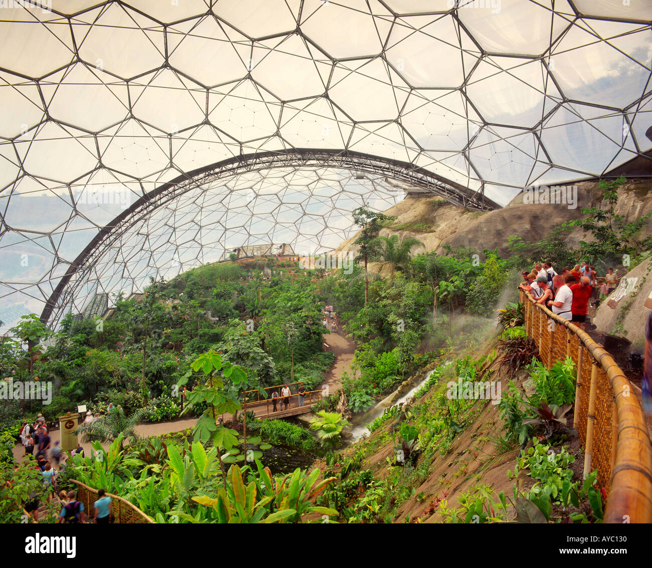 Humid tropics hi-res stock photography and images - Alamy