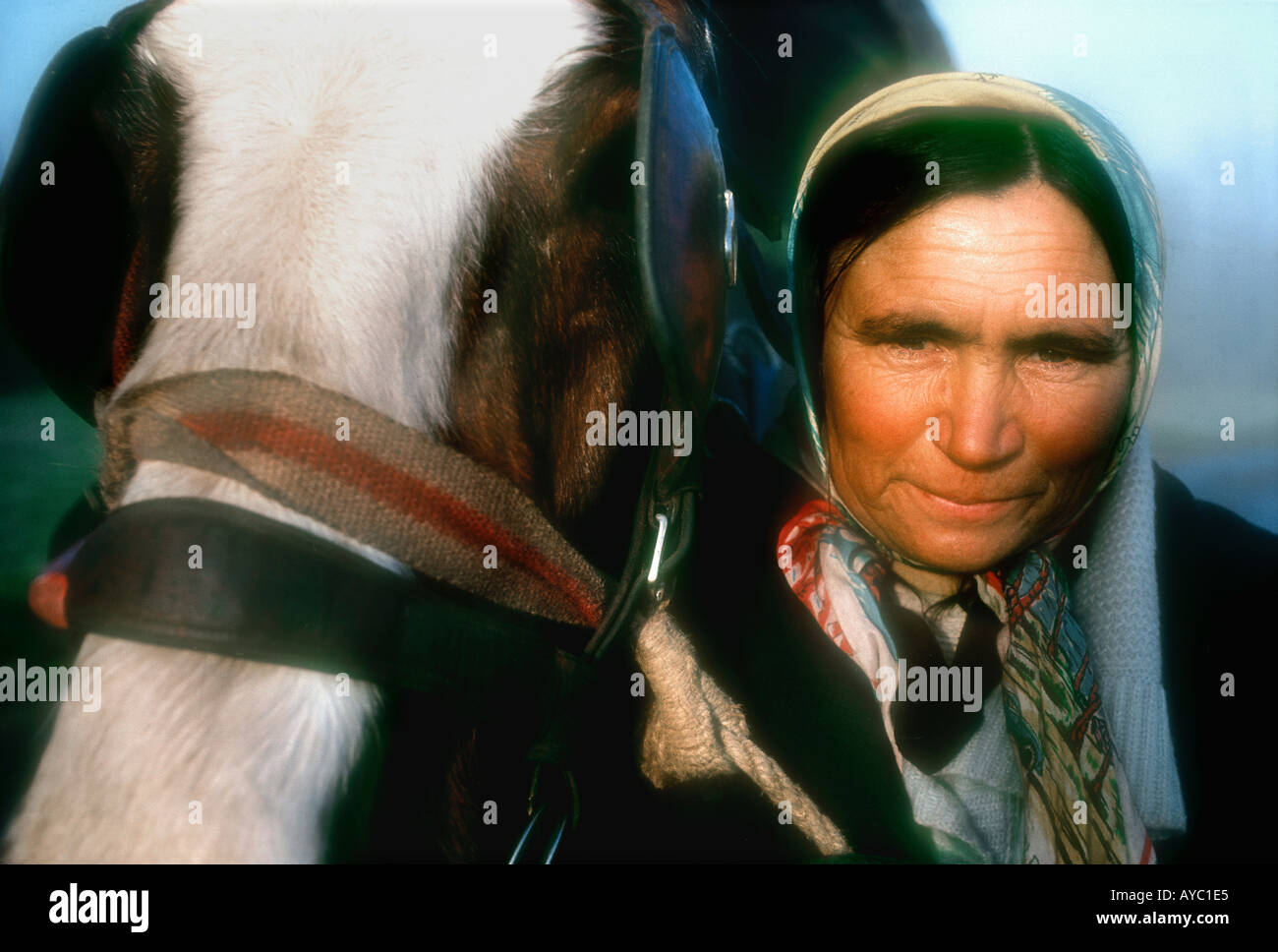 Gypsy mother with Pony in Winter Dorset England UK Stock Photo - Alamy