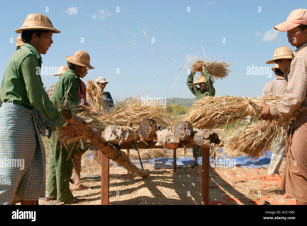 Farmers threshing corn hi-res stock photography and images - Alamy
