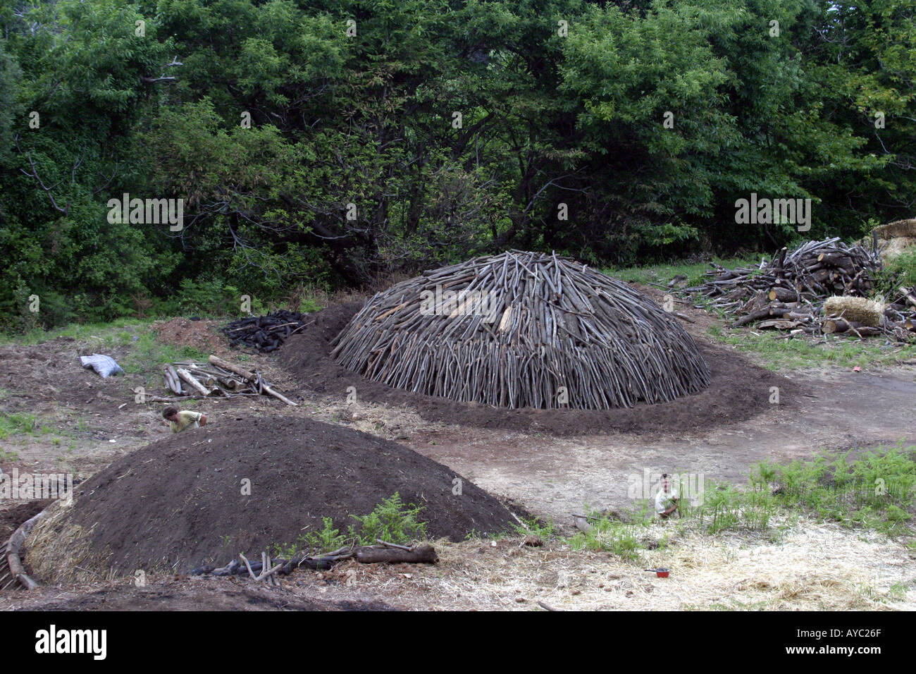 Charcoal production Pilio Greece Stock Photo - Alamy