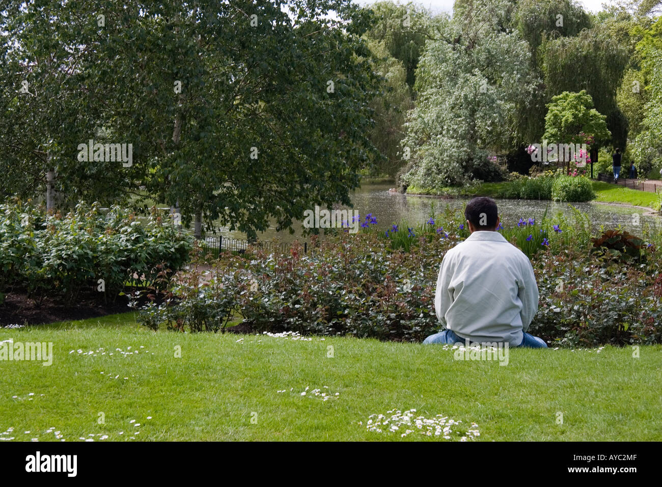 A man sitting on the grass relaxing in the rose gardens by a pond in ...