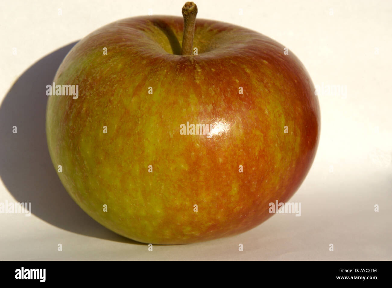 Cox coxs hi-res stock photography and images - Alamy