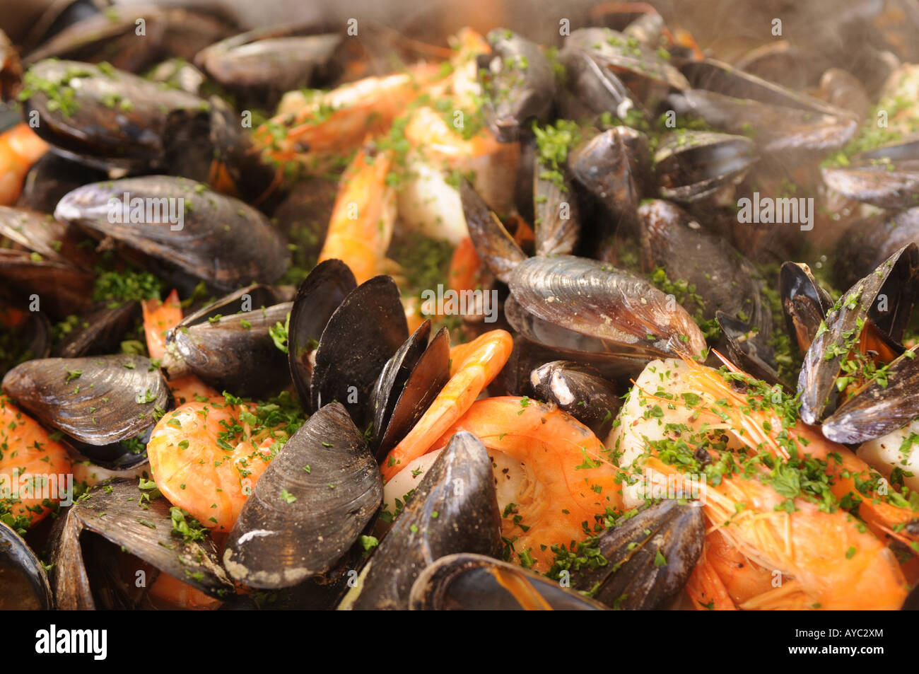 french style fish casserole Stock Photo - Alamy