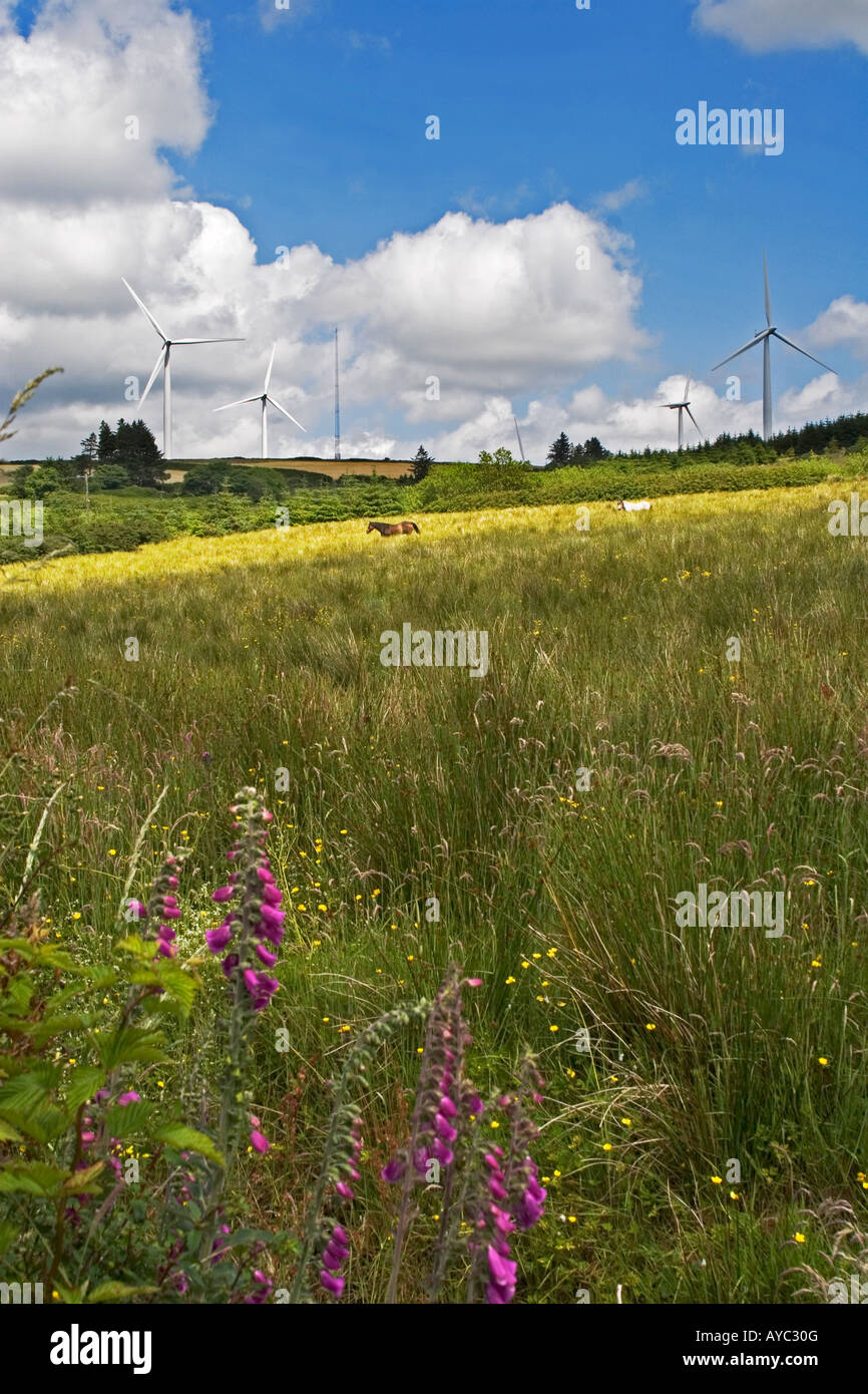 Wind power turbines on windfarm producing electricity for part of ...