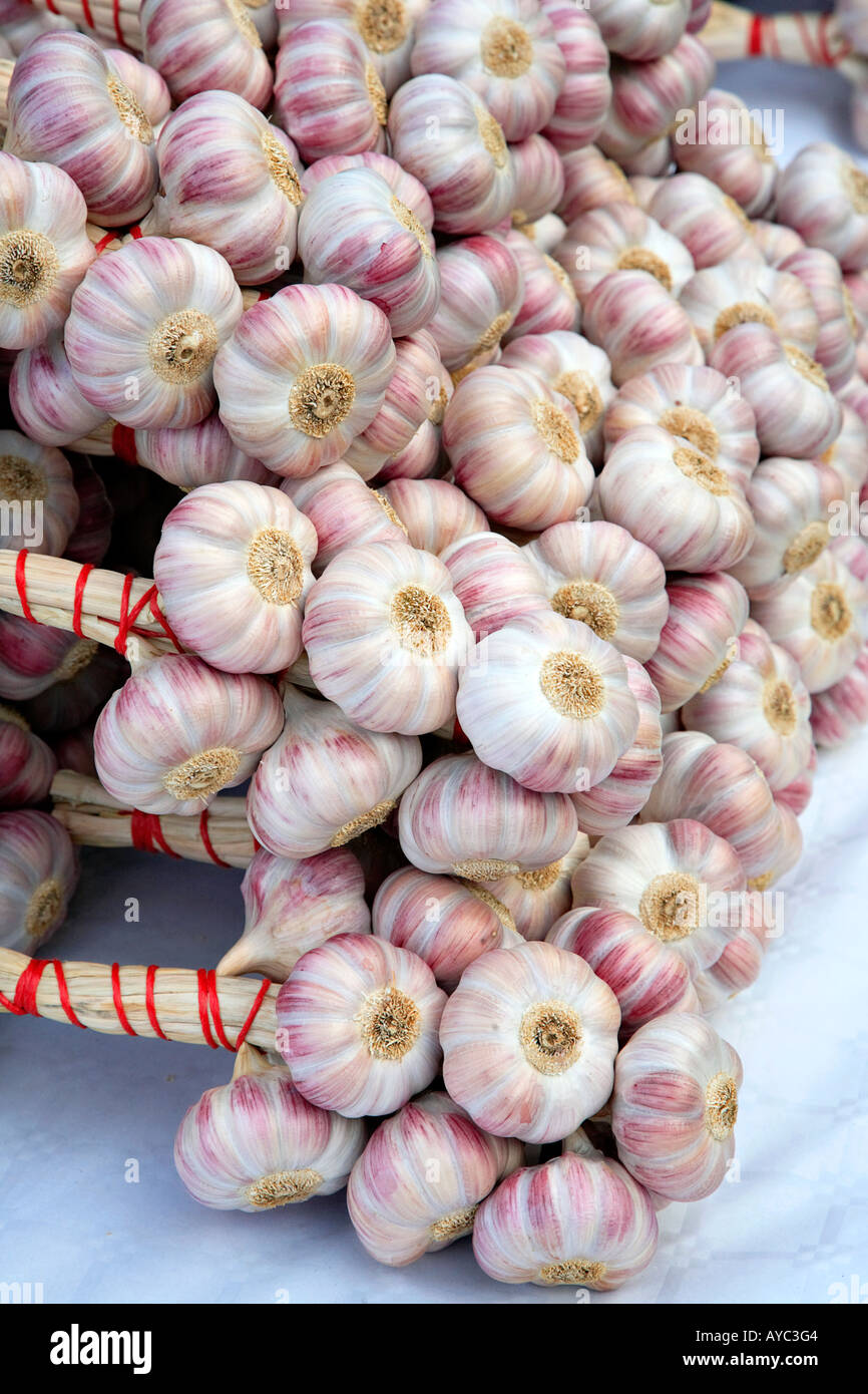 Garlic French Pink
