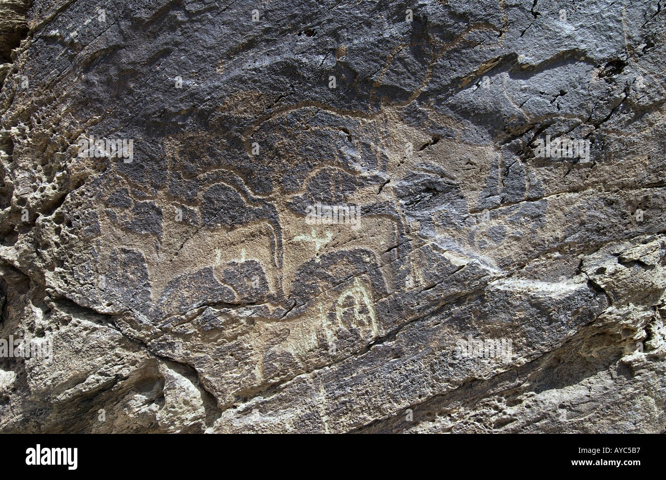 Petroglyphs saudi arabia hi-res stock photography and images - Alamy