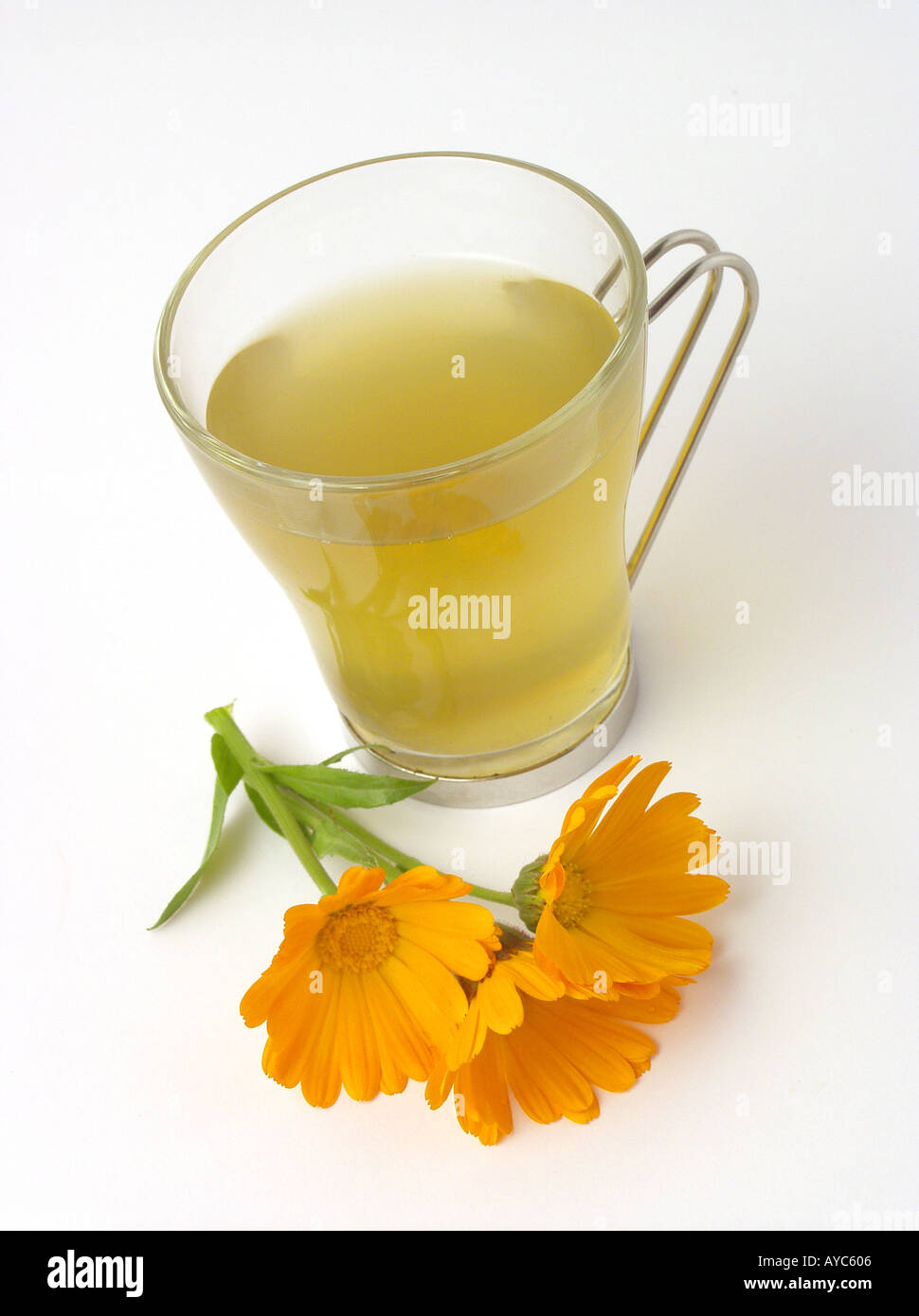 Marigold infusion flowers Calendula officinalis Stock Photo - Alamy