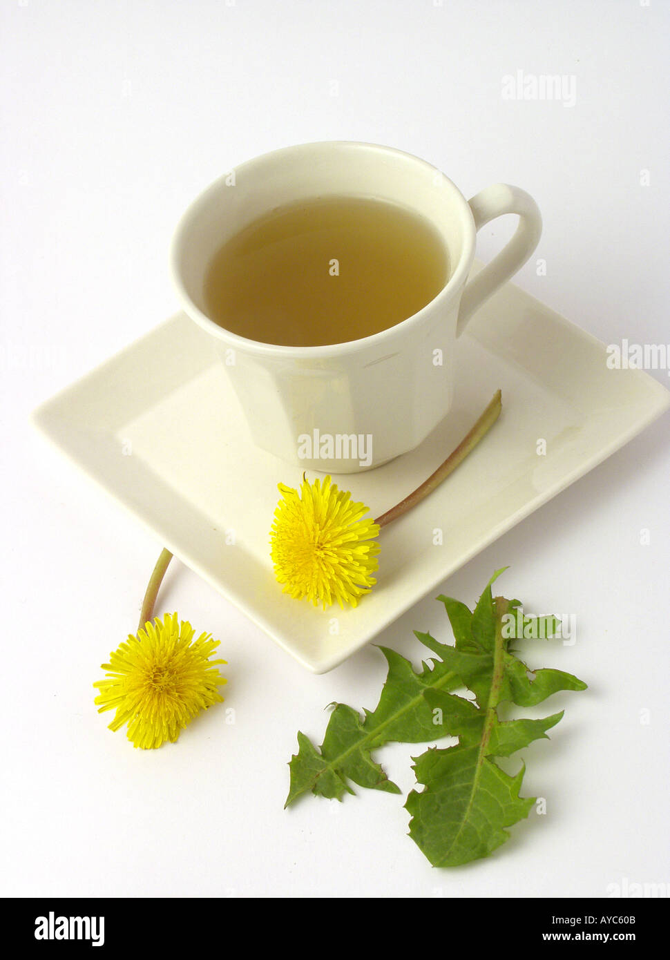 Dandelion infusion Taraxacum officinale Stock Photo - Alamy