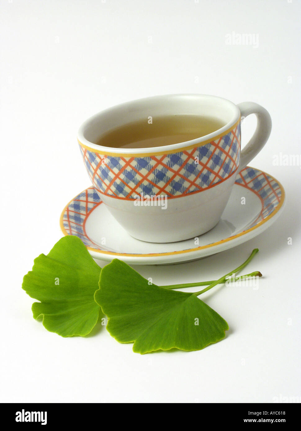 Ginkgo infusion Ginkgo biloba Stock Photo - Alamy