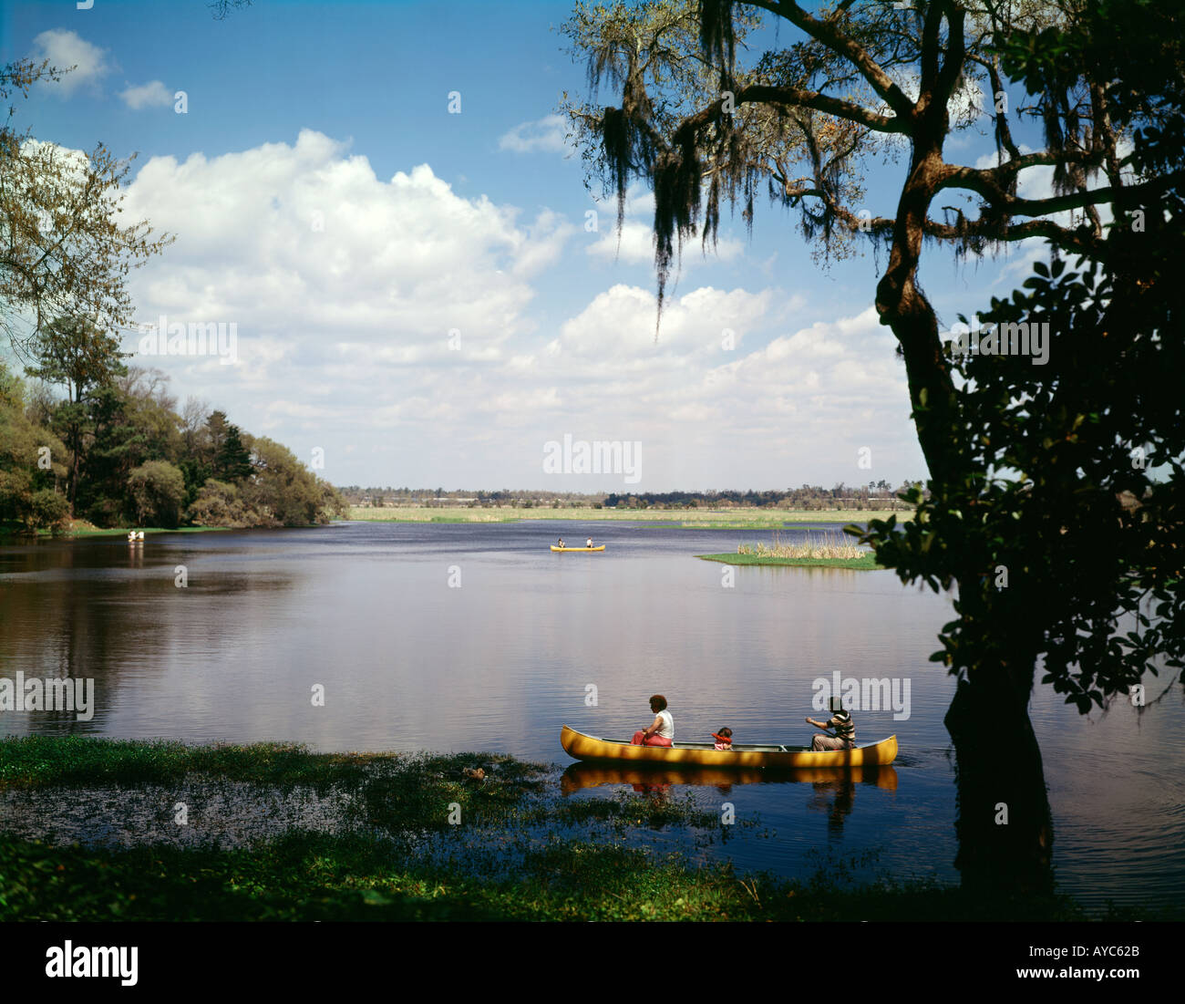 Canoeists enjoy the placid waters of the Ashley River near Charleston ...