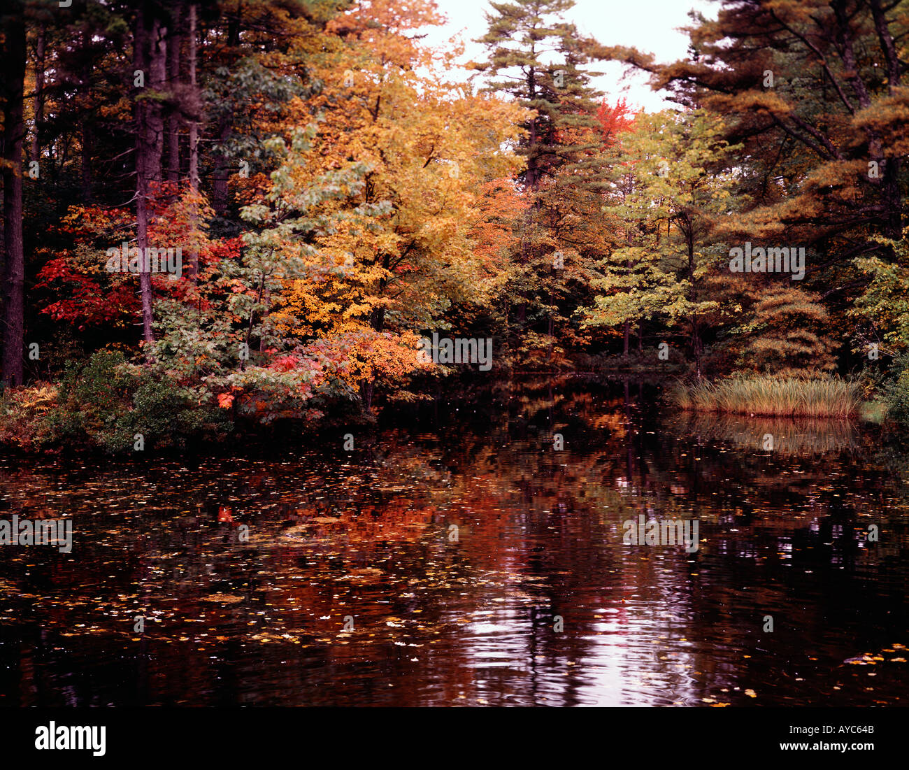 Kennebunkport maine red hi-res stock photography and images - Alamy