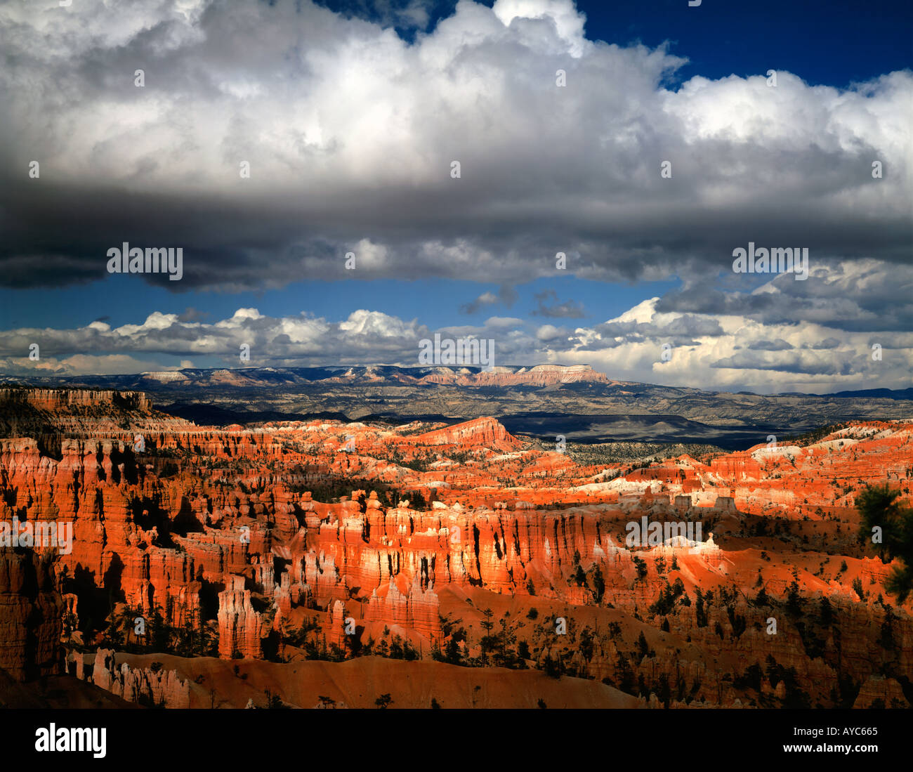 Bryce Canyon National Park in Utah showing the dramatic limestone ...
