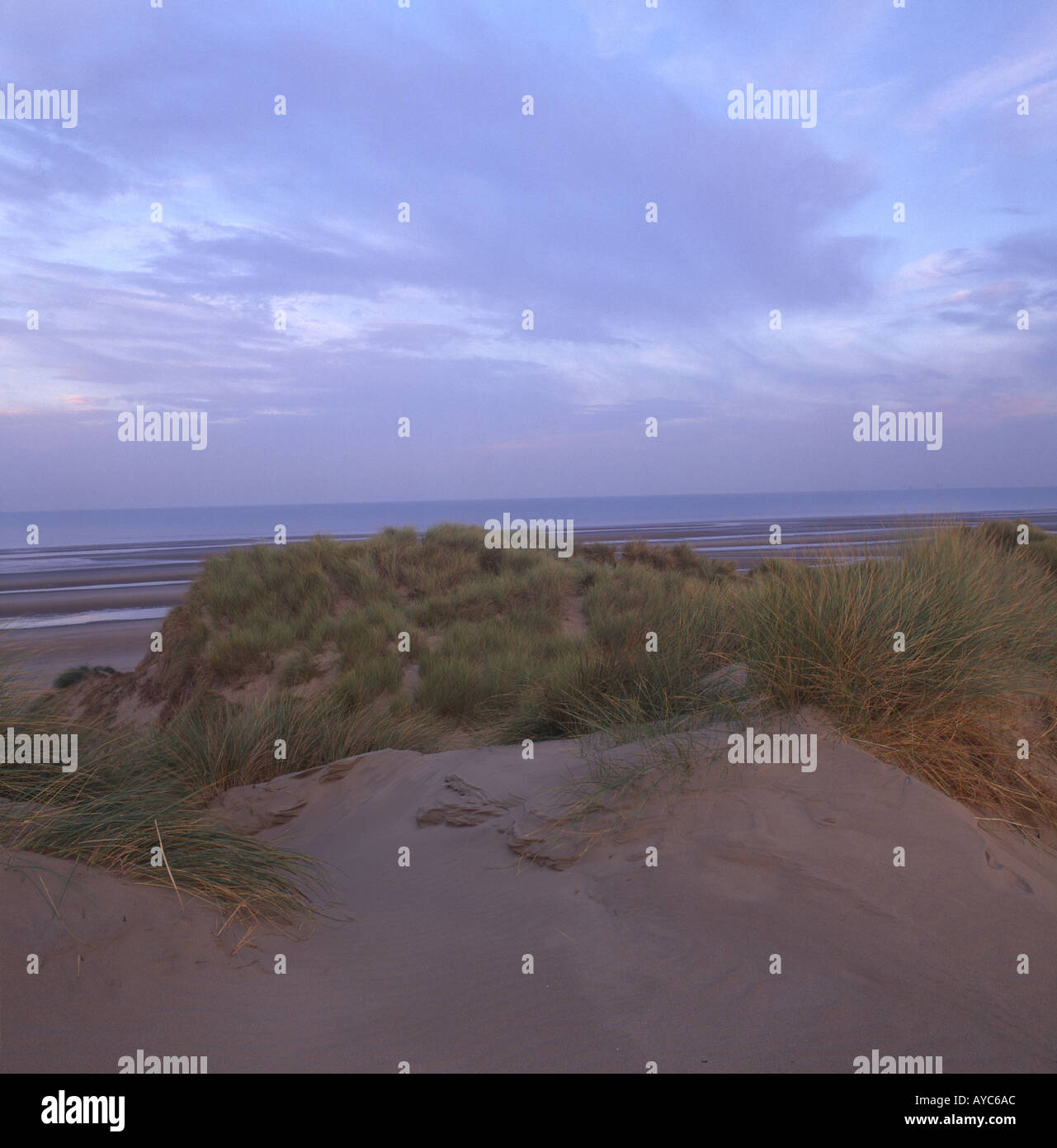 Sand Dunes at Formby Point Merseyside Stock Photo - Alamy