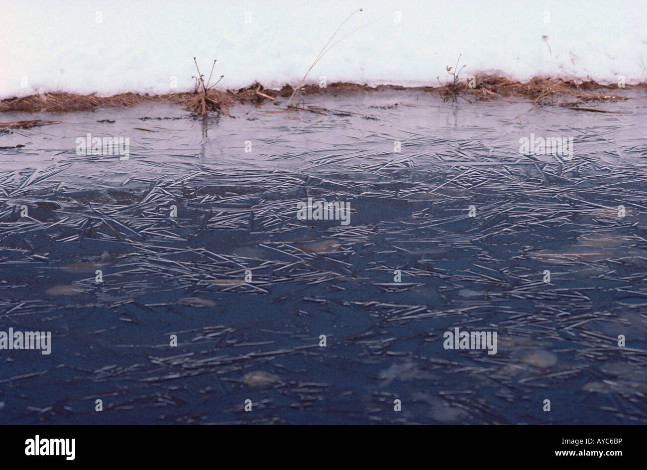 Frozen Water Surface near Snow Stock Photo - Alamy