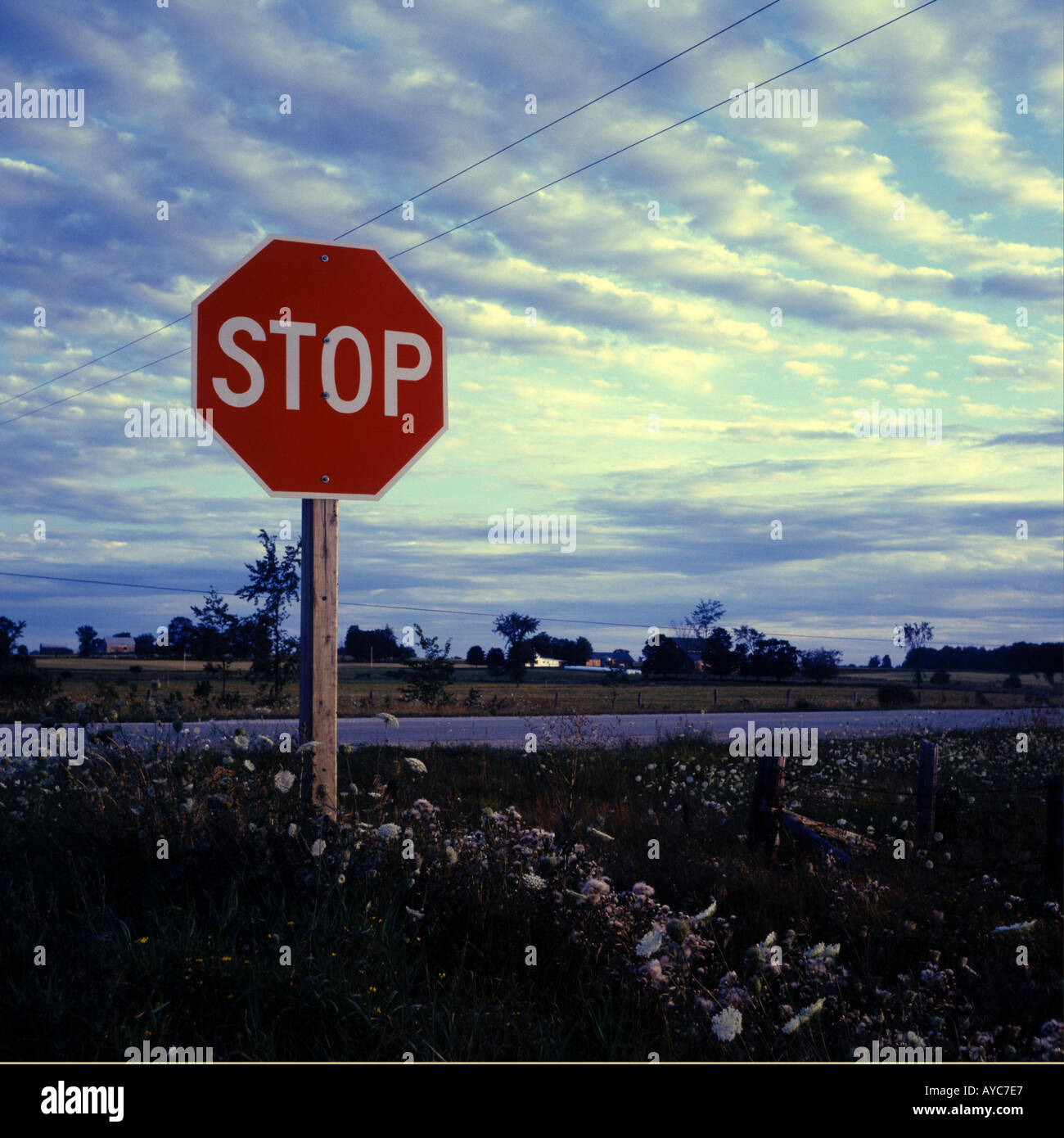Stop sign by a country road Stock Photo - Alamy