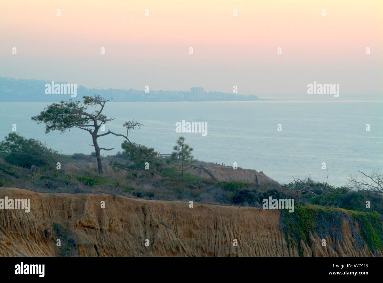 Torrey Pines State Park at Sunset Stock Photo - Alamy