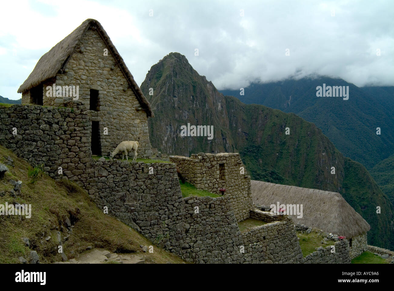 Machu Picchu Lost City of the Incas Stock Photo - Alamy