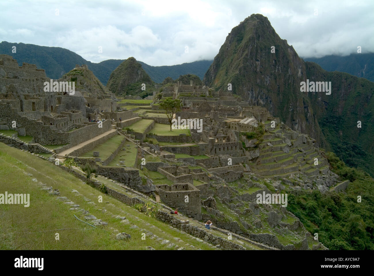 Machu Picchu Lost City of the Incas Stock Photo - Alamy
