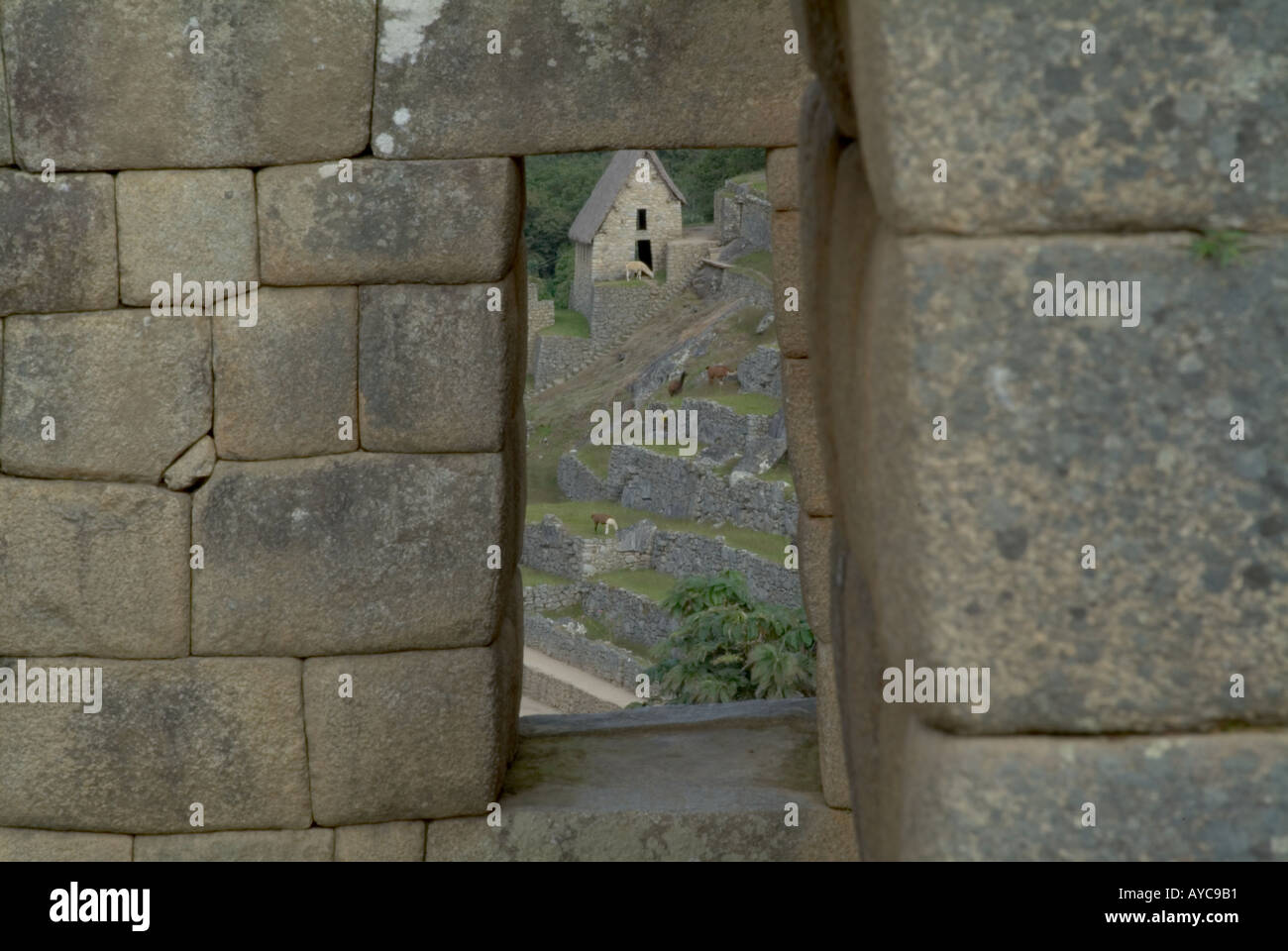 Machu Picchu Lost City of the Incas Stock Photo - Alamy