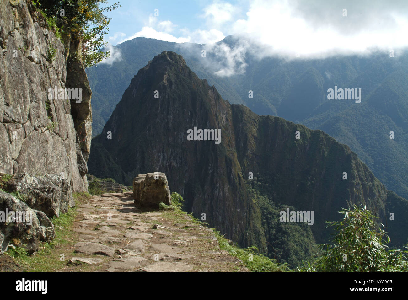 Inca trail into Machu Picchu Stock Photo - Alamy