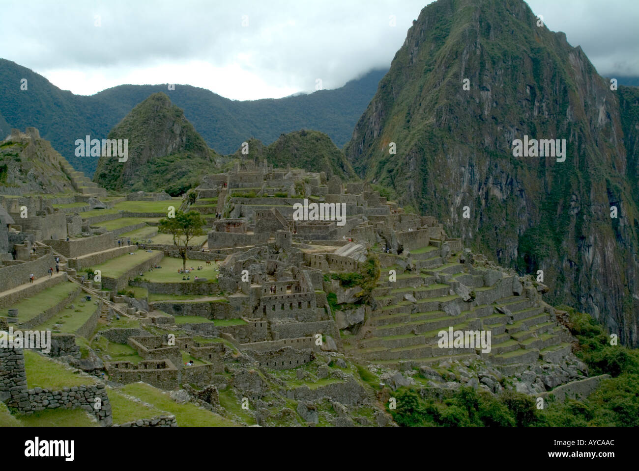 Machu Picchu Lost City of the Incas Stock Photo - Alamy