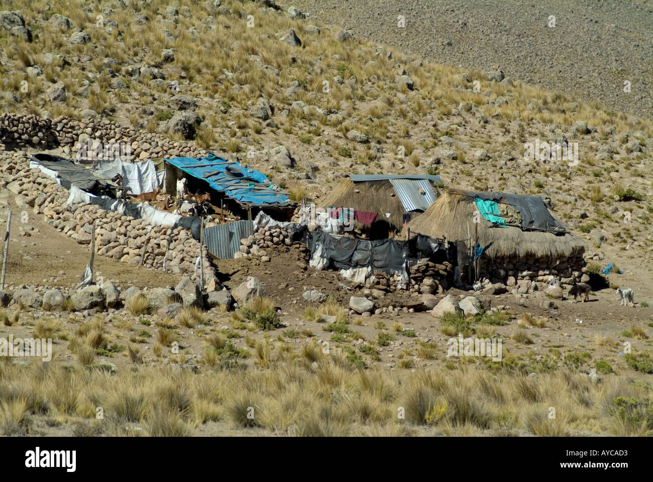 Small Homestead outside of Arequipa Stock Photo - Alamy